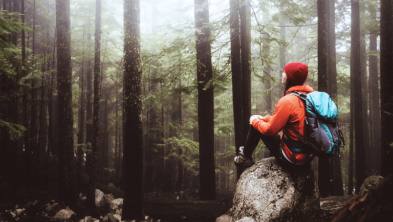 6 Essential Survival Tactics You Should Know About - ComptonHerald